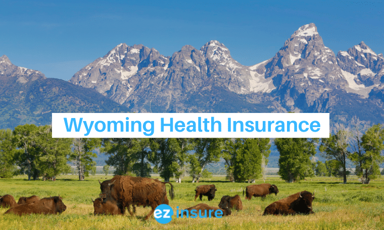 Wyoming Health Insurance - EZ.Insure