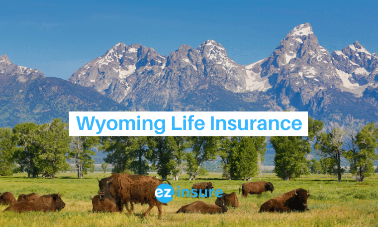 Wyoming Life Insurance - EZ.Insure
