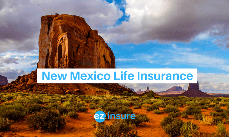 New Mexico Life Insurance - EZ.Insure